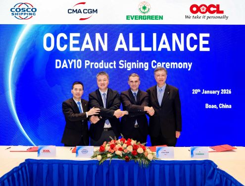 Ocean Alliance maps “Day 10” 2026 network as carriers keep Cape ...